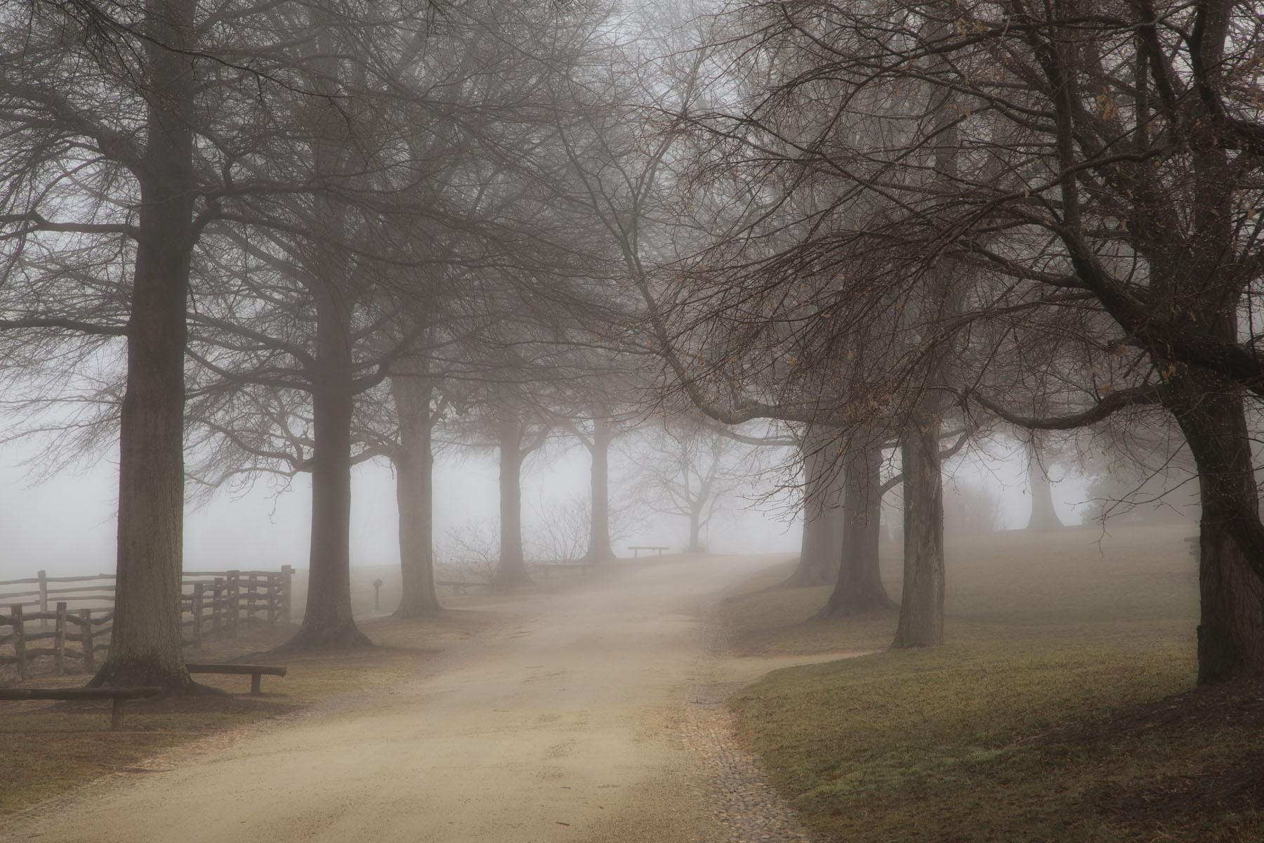Lives Bound Together Resources · George Washington's Mount Vernon