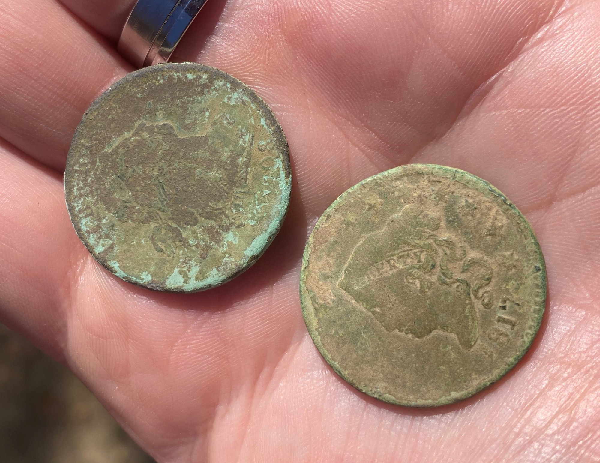 Excavating the North Grove · George Washington's Mount Vernon