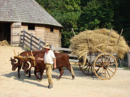 18th Century Farming · George Washington's Mount Vernon
