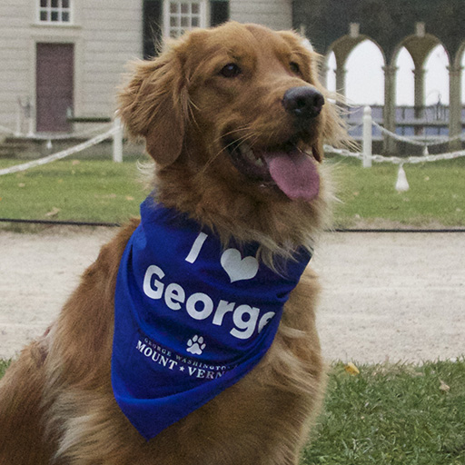 George Washington’s Historic Estate Springs into Action! · George ...