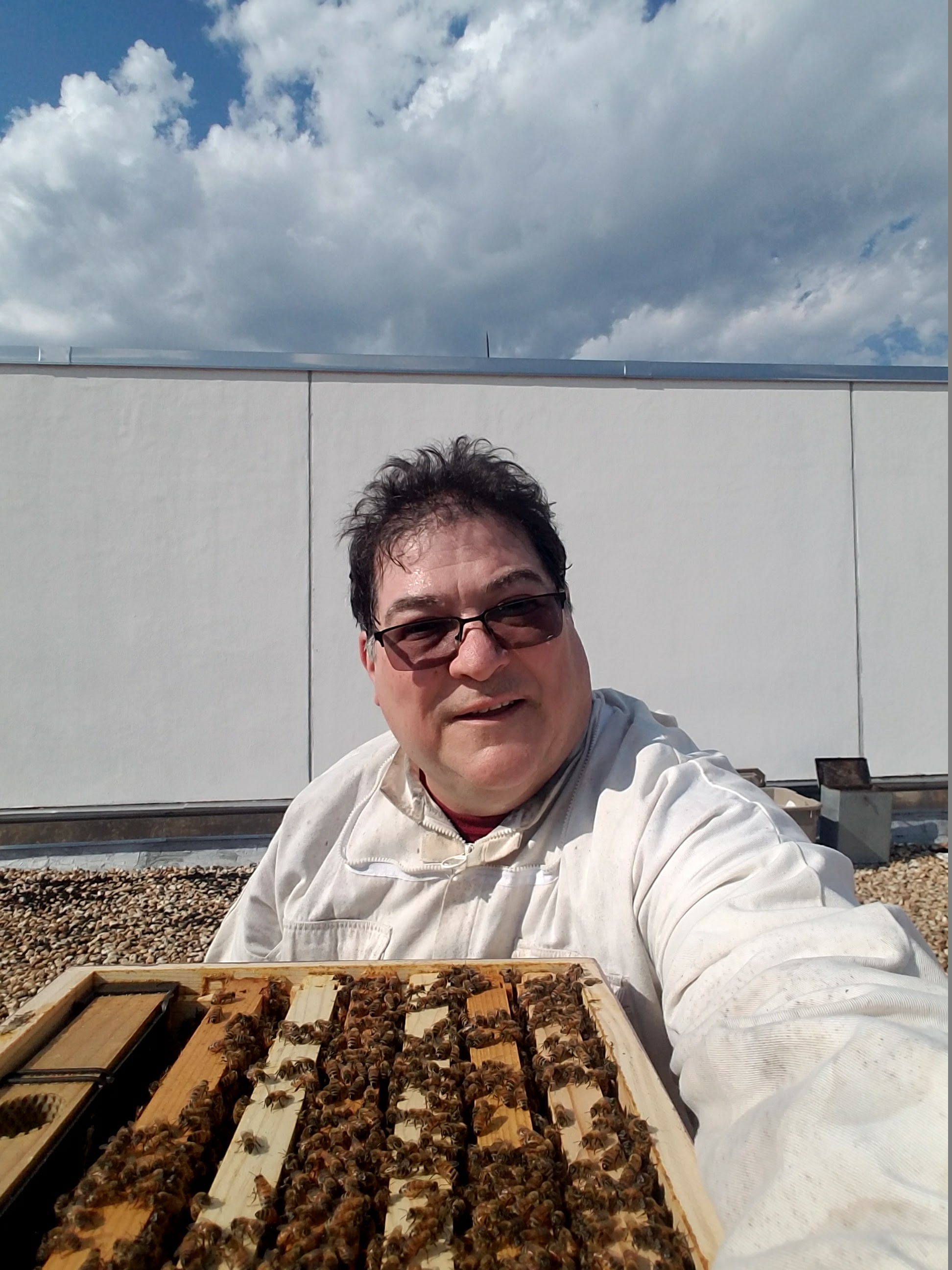 George Washington: Bee Keeper · George Washington's Mount Vernon