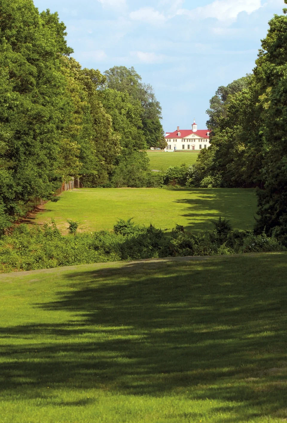 The History of Slavery and the Life of George Washington | George ...