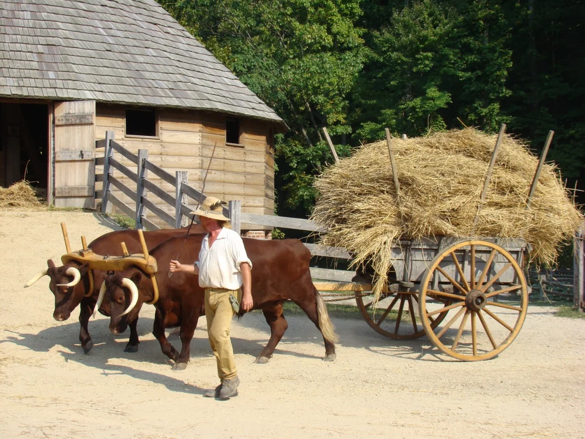 George Washington and a Nation of Farmers Exhibit | George Washington's ...