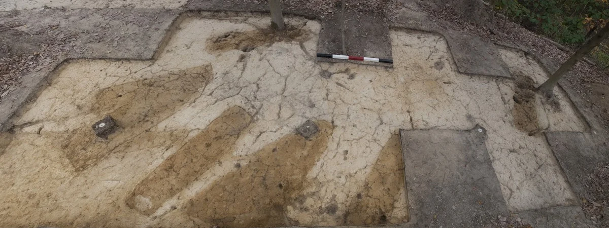 Researching Slavery | George Washington's Mount Vernon