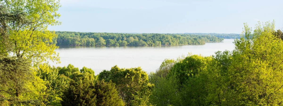 From Slavery to Freedom | George Washington's Mount Vernon